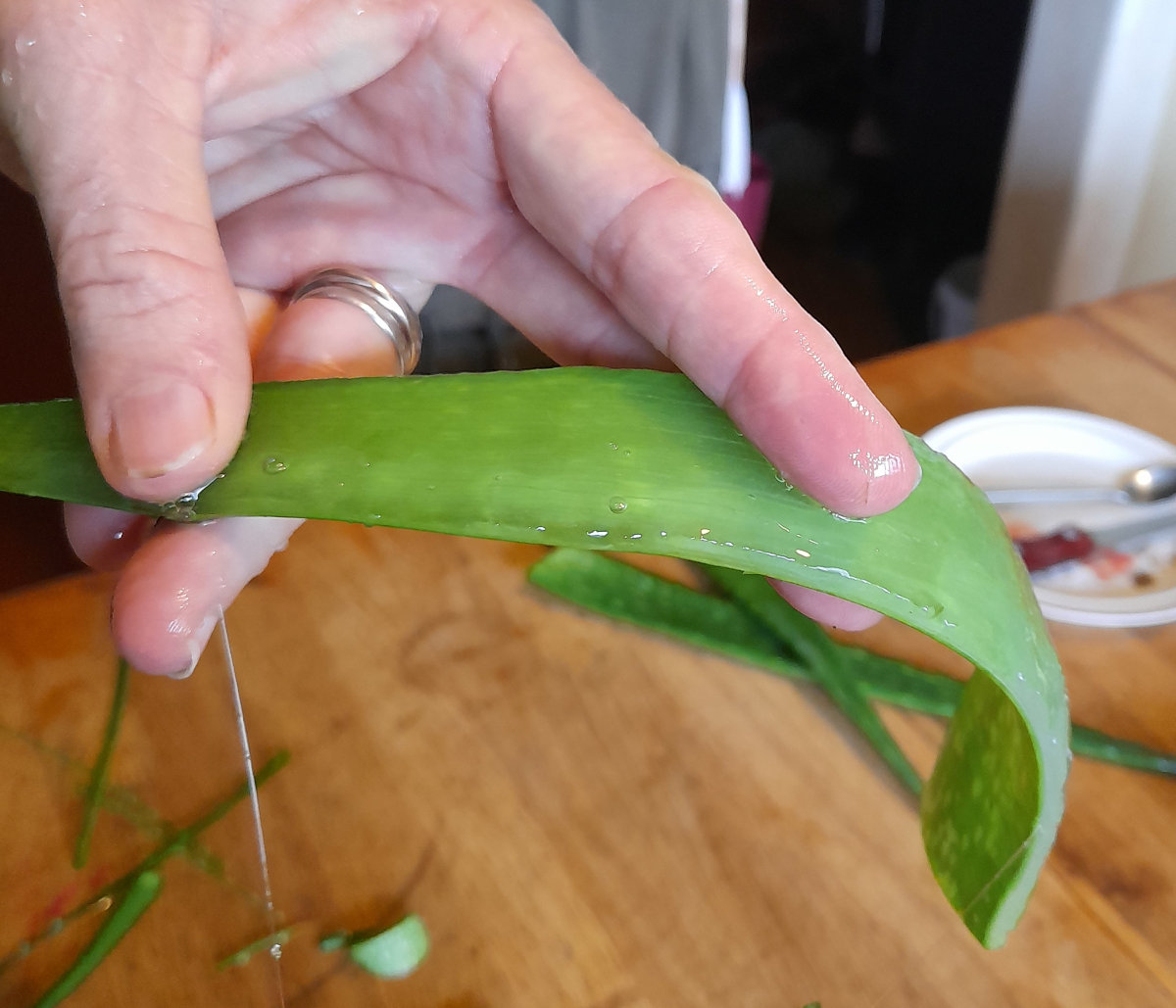 Fresh Aloe Vera For Burns + before & after pics | A Real Green Life