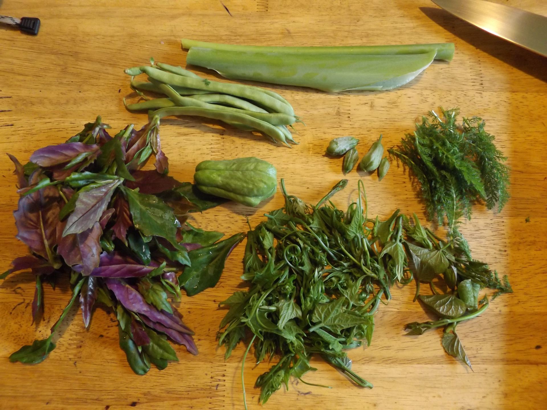 1 Garden Meal per Day: Simple Strategy, Abundant Benefits | ARealGreenLife