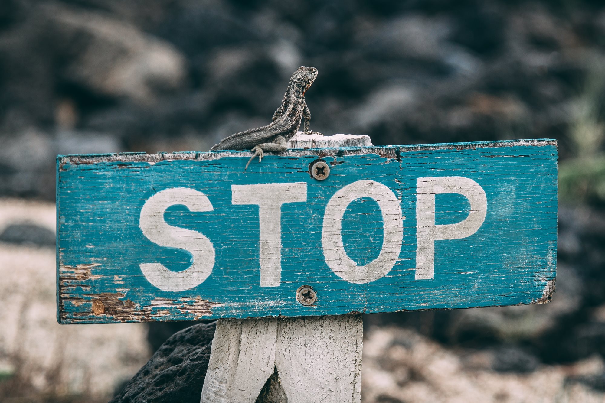 Out-Growing Consumerism 2: An Act of Subversion | ARealGreenLife